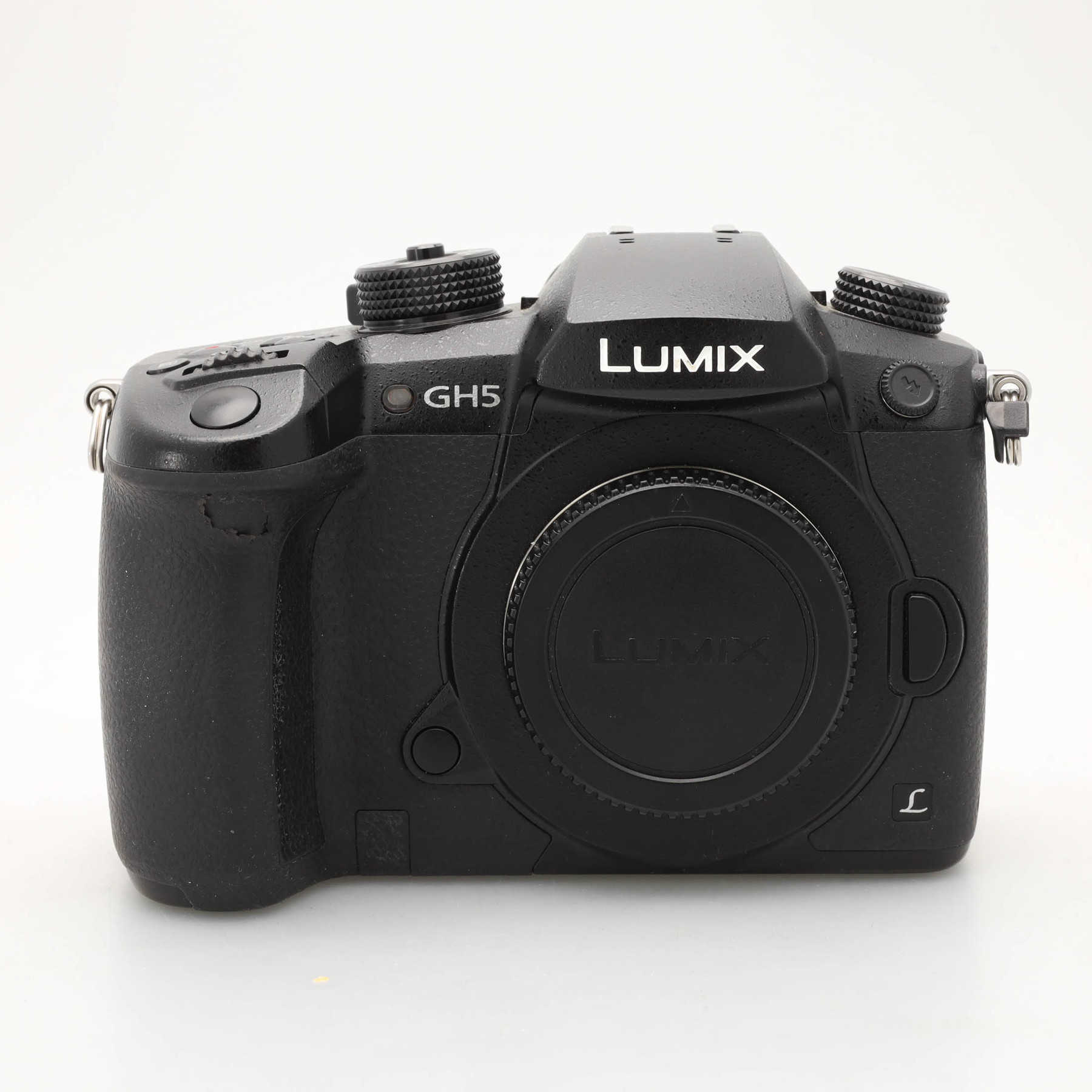 Panasonic DMC-GH5 Lumix | Kutuzov Photo