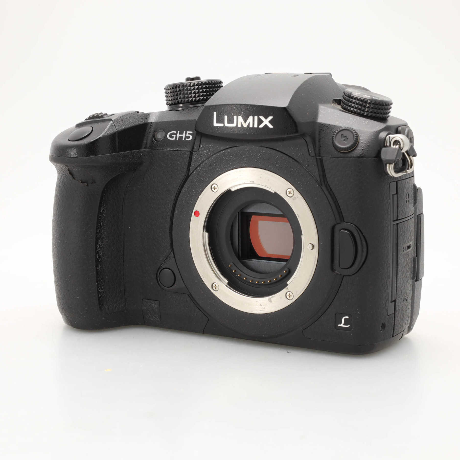 Panasonic DMC-GH5 Lumix | Kutuzov Photo